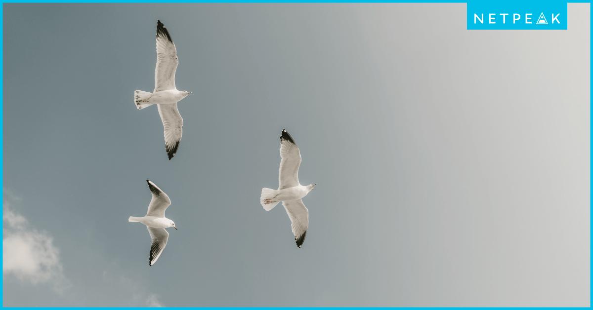 Migrating from AdWords API to Google Ads API. A Comprehensive Guideline